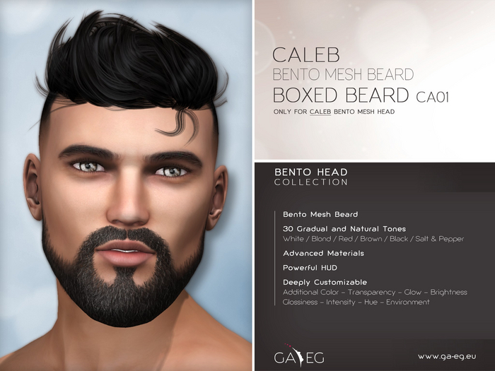 Second Life Marketplace - [GA.EG] Caleb Bento Beard - CA01 Boxed Beard DEMO