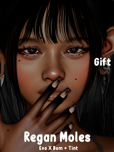 Second Life Marketplace - [BS] Regan Moles - Evo X - Gift