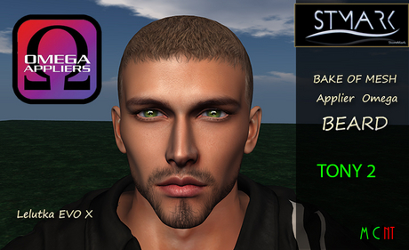 Second Life Marketplace - Beard - Tony 2 - [EVOX]