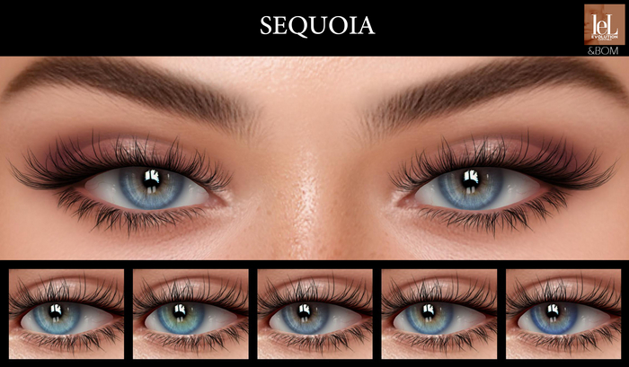 Second Life Marketplace - ::Sequoia:: Summer blue eye set for LeLutka ...