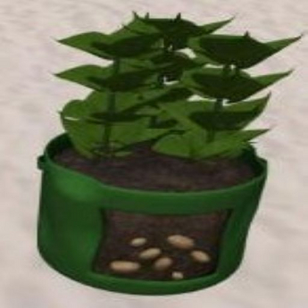 Second Life Marketplace - DFS Potato Plant - Bag Planter Green (Uber ...