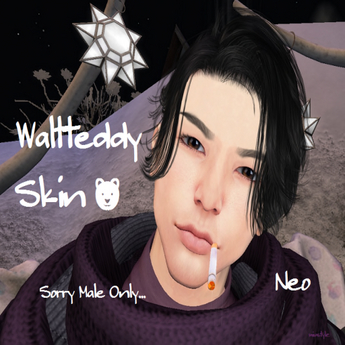 Second Life Marketplace - WALTTEDDY SKIN NEO