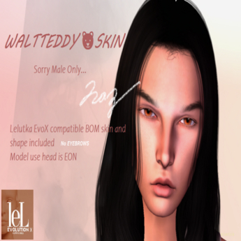 Second Life Marketplace - WALTTEDDY SKIN NAZ（LeLUTKA EvoX BOM SKIN ＆SHAPES）