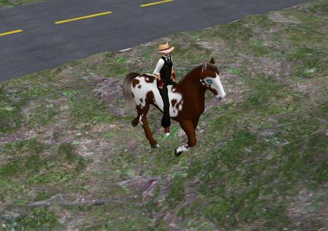 Second Life Marketplace - Wingsong Horse Ride - Amaretto AO V2 Box