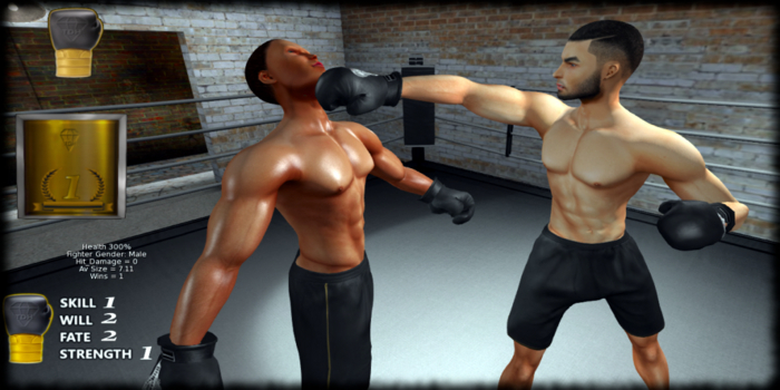 Second Life Marketplace - TDH Gaming - Boxing RP System V.1