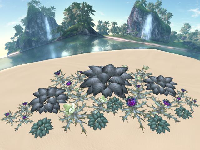 Second Life Marketplace - RW - Tropical Desert plants garden *Meka* c/m