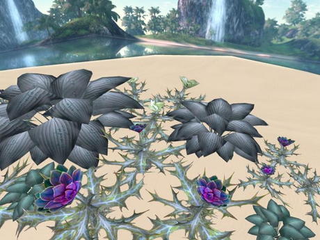 Second Life Marketplace - RW - Tropical Desert plants garden *Meka* c/m