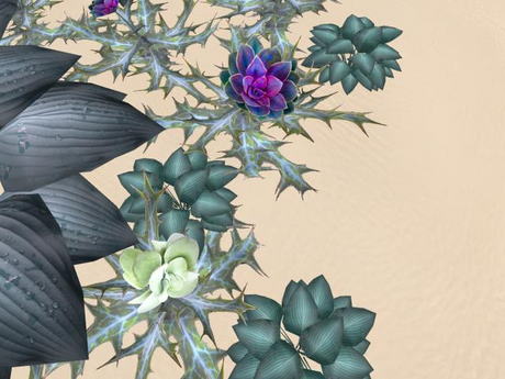 Second Life Marketplace - RW - Tropical Desert plants garden *Meka* c/m