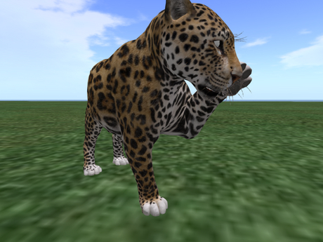 Second Life Marketplace - Bento Buddy - Jaguar