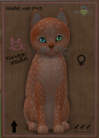 Second Life Marketplace Kittycats Box New Born Kitten 7453