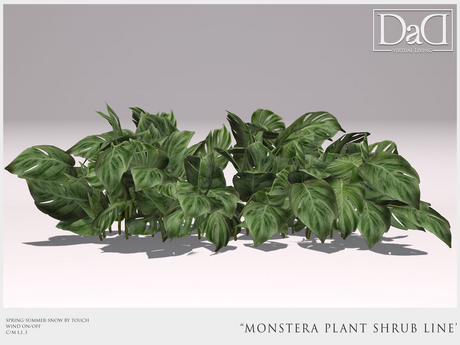 Second Life Marketplace - DaD - Monstera Plant shrubs Set