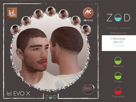 Second Life Marketplace - ZOD_EVO X_Hairbase Set 01 - Richard [FATPACK]
