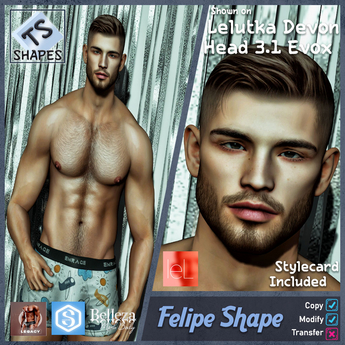 Second Life Marketplace - -TS- Felipe Shape (For Lelutka Devon EVOX ...