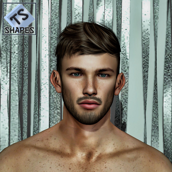 Second Life Marketplace - -TS- Liam Shape (Catwa Daniel / Signature Gianni)