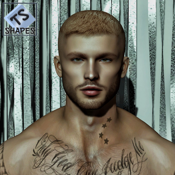 Second Life Marketplace - -TS- Robert Shape (For Devon 3.1 EVOX Head ...