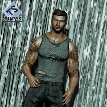 Second Life Marketplace - -TS- Hanson Shape (For Logan 3.1 EVOX Head ...