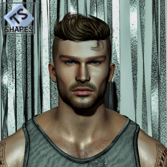 Second Life Marketplace - -TS- Hanson Shape (For Logan 3.1 EVOX Head ...