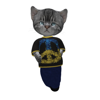 Second Life Marketplace - ( DL ) Dinkie Life Ukraine Boy