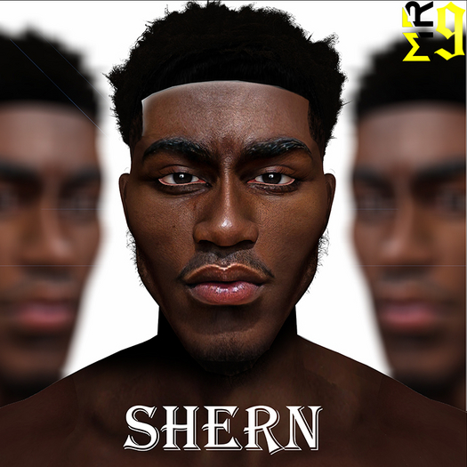 Second Life Marketplace - Shern Skin Tone 3