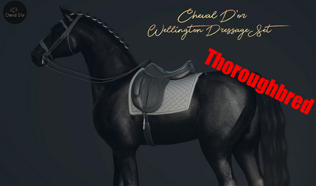 Second Life Marketplace - Cheval D'or / TeeglePet Thoroughbred ...