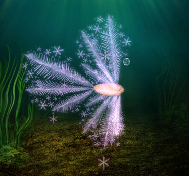 Second Life Marketplace - (7S) Uncommon Fish: Pink Frost Fish