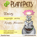 Second Life Marketplace - PlantPet Seed [Daisy *Spotty Hawaiian*]
