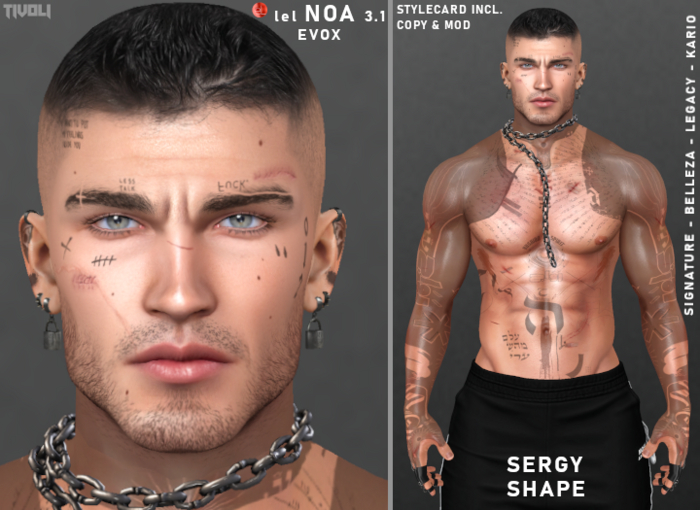 Second Life Marketplace - -Tivoli inc - Noa Shape lelutka Noa Head 3.1 ...