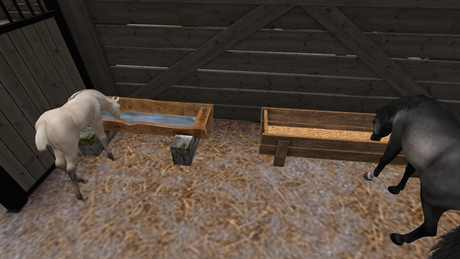 Second Life Marketplace - the Thoroughbred Horse interactive trough T2