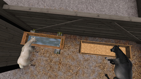 Second Life Marketplace - the Thoroughbred Horse interactive trough T2