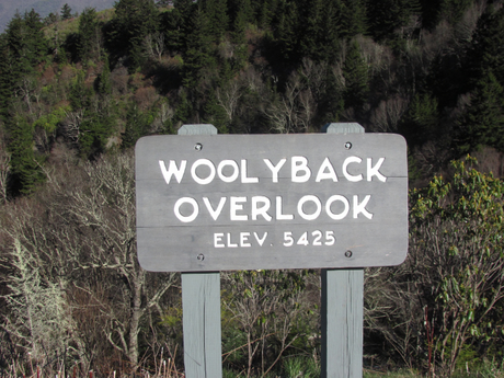 Second Life Marketplace - woolyback overlook
