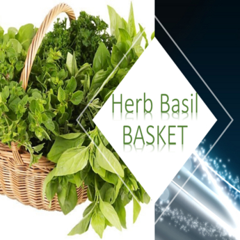 Second Life Marketplace - [5] DFS Herb - Basil Basket
