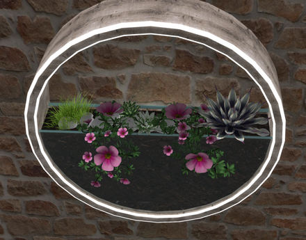 Second Life Marketplace - wall decoration round with catus
