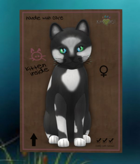 Second Life Marketplace - Chateau Cat - Grey & White No. 1 - Turquoise ...