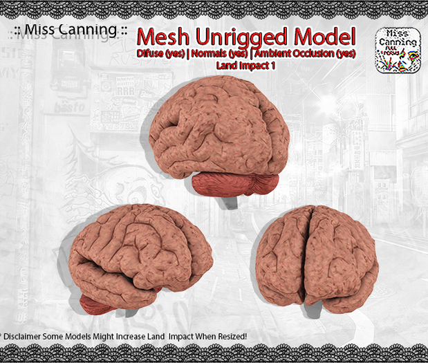 Second Life Marketplace - :: Miss Canning:: [ FULL PERM MESH MODEL ] BRAIN