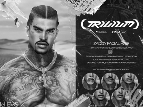 Second Life Marketplace - .:.: TRIVIUM :.:. ZADDY FACIAL HAIR DEMO - EVOX