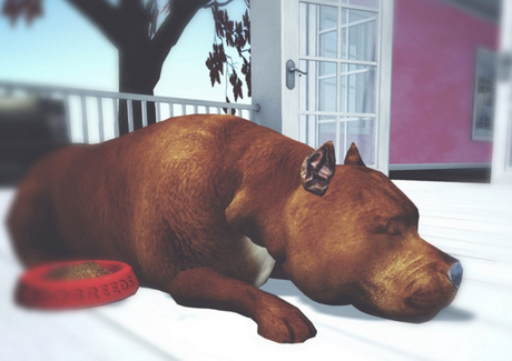 Second Life Marketplace - ULTIMATE RED PITBULL