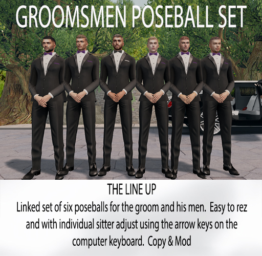Second Life Marketplace - Groomsmen Photograph Poses- Line Up