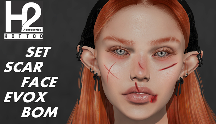 Second Life Marketplace - H2 - SET SCAR FACE EVOX BOM