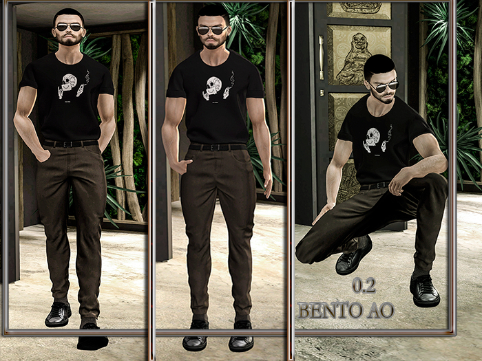 Second Life Marketplace - AO MALE BRIAN - BENTO FULL 0.2 Animations Static