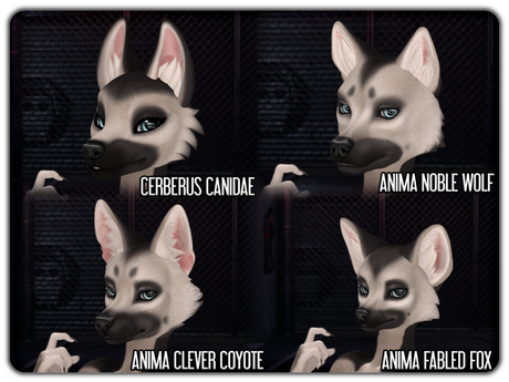 Second Life Marketplace - .:C:. Gshep - Silver - German Shepherd Mod ...