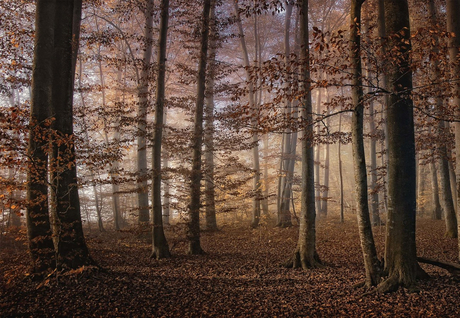 Second Life Marketplace - Skybox with autumn panorama