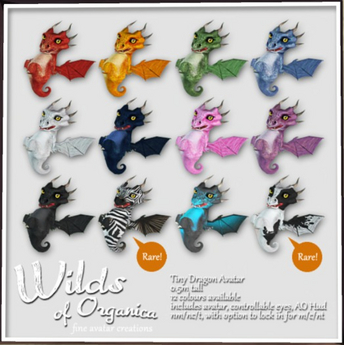 Second Life Marketplace - [ WoO ] Tiny Dragon Package (blue glow)(T)