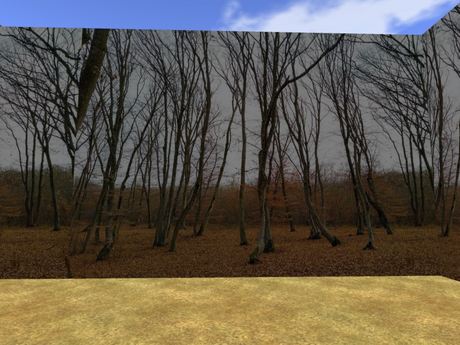 Second Life Marketplace - AUTUMN FOREST SKYBOX
