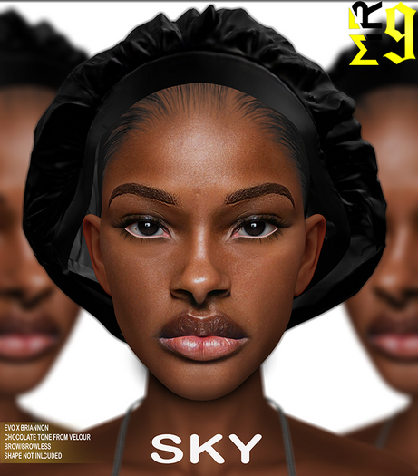 Second Life Marketplace - Sky Skin Chocolate Tone (EVO X)