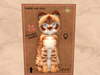 Second Life Marketplace - The Cattery-Australian Mist - Ginger