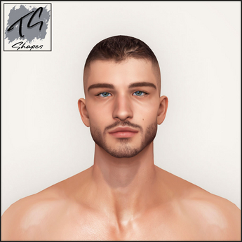 Second Life Marketplace - -TS- Declan Shape (For Alain 3.1 EVOX Head ...
