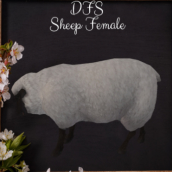 Second Life Marketplace - DFS Sheep - Female