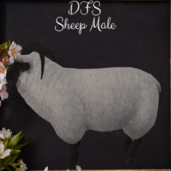 Second Life Marketplace - DFS Sheep - Male