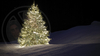 Second Life Marketplace - 662 - Winter - Christmas - Illuminated Snowy ...