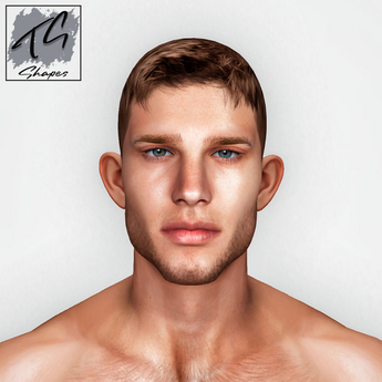 Second Life Marketplace - -TS- Ethan Shape (For Logan 3.1 EVOX Head ...